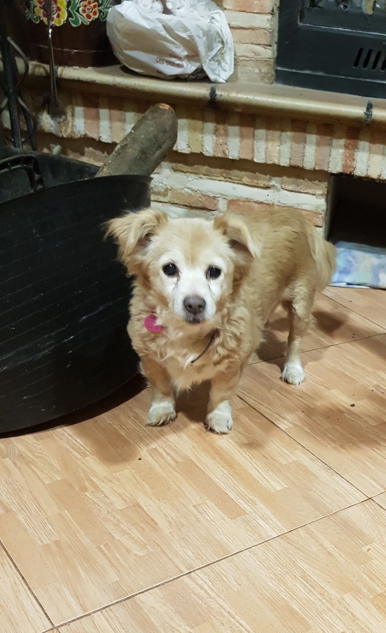 thumbnail_20210117_180747-1